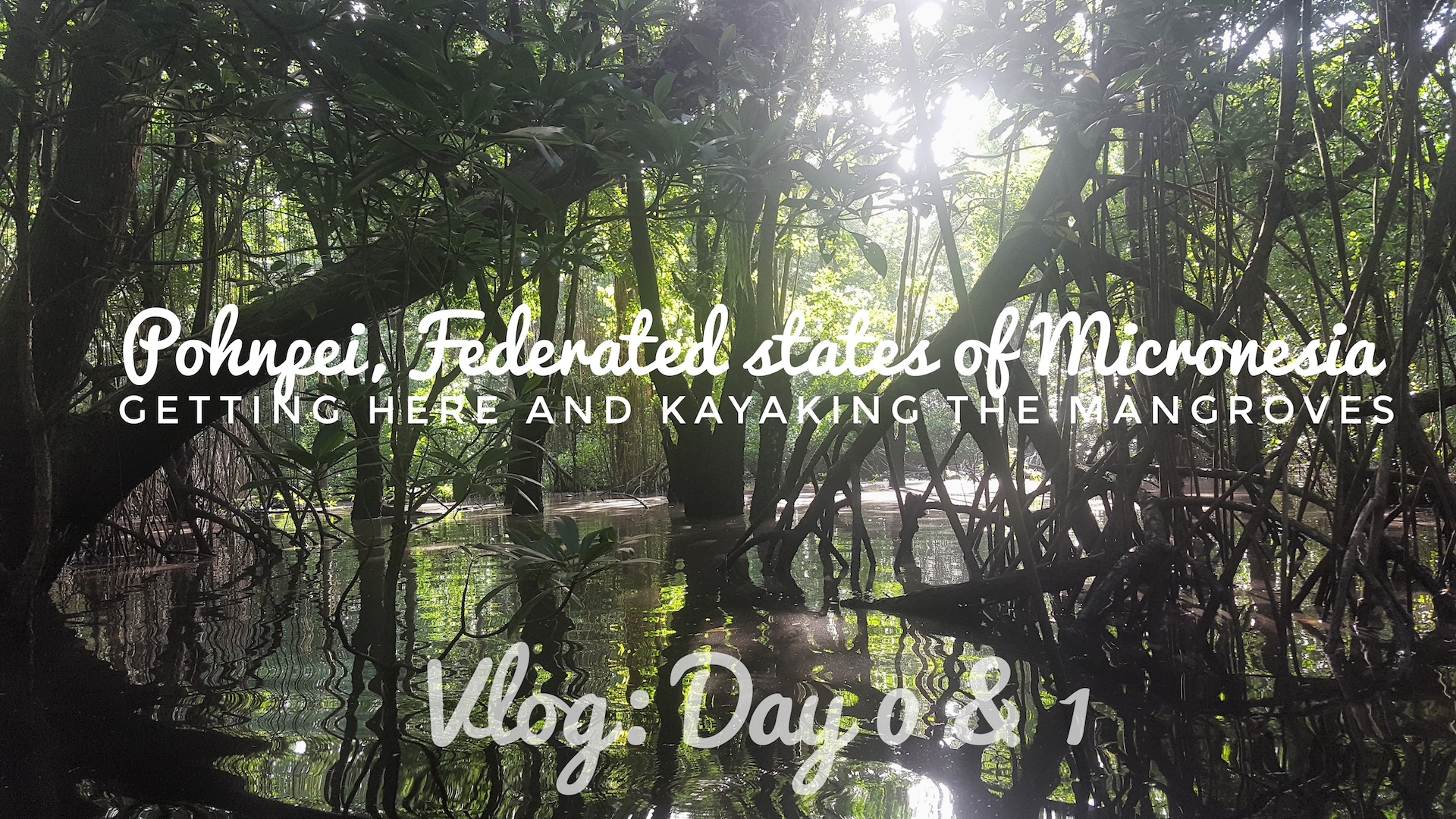 Pohnpei, Micronesia - Getting There and Kayaking the Mangroves | Vlog ...